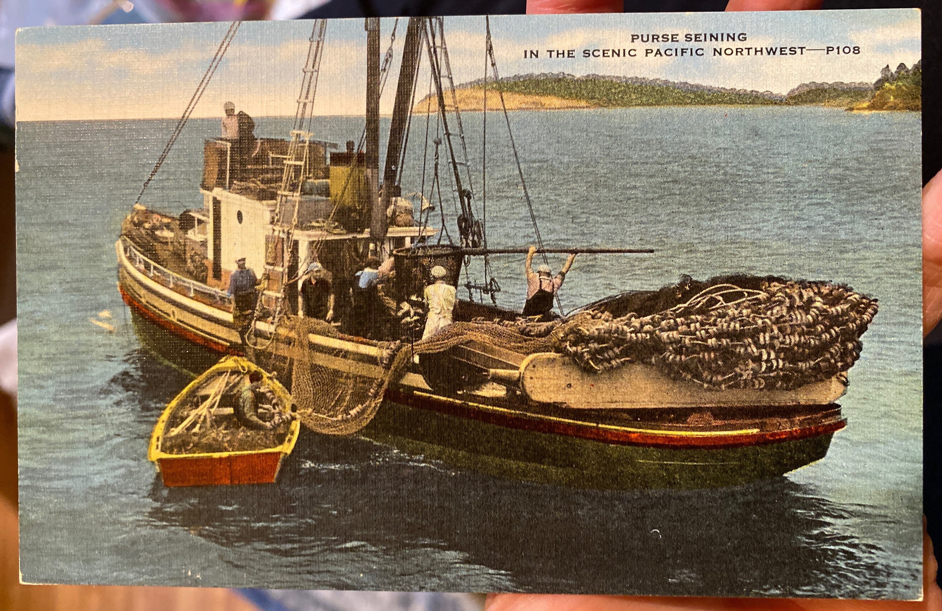 Beautiful Antique Linen Postcard of Purse Seining in the | Etsy