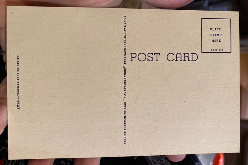 Antique Vintage Linen Postcard of A Large Grapefruit Grove - Etsy