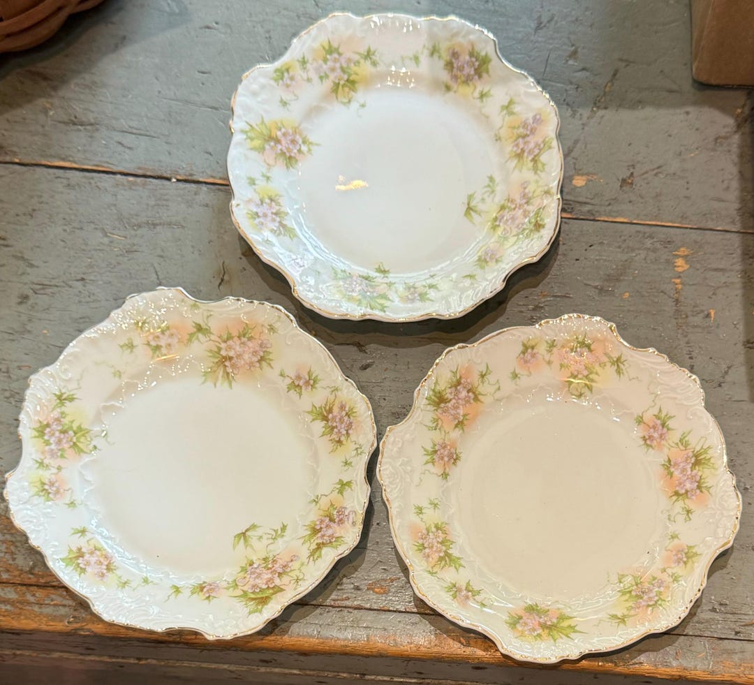 Three Beautiful Antique German Porcelain Floral Dessert Plates - Etsy