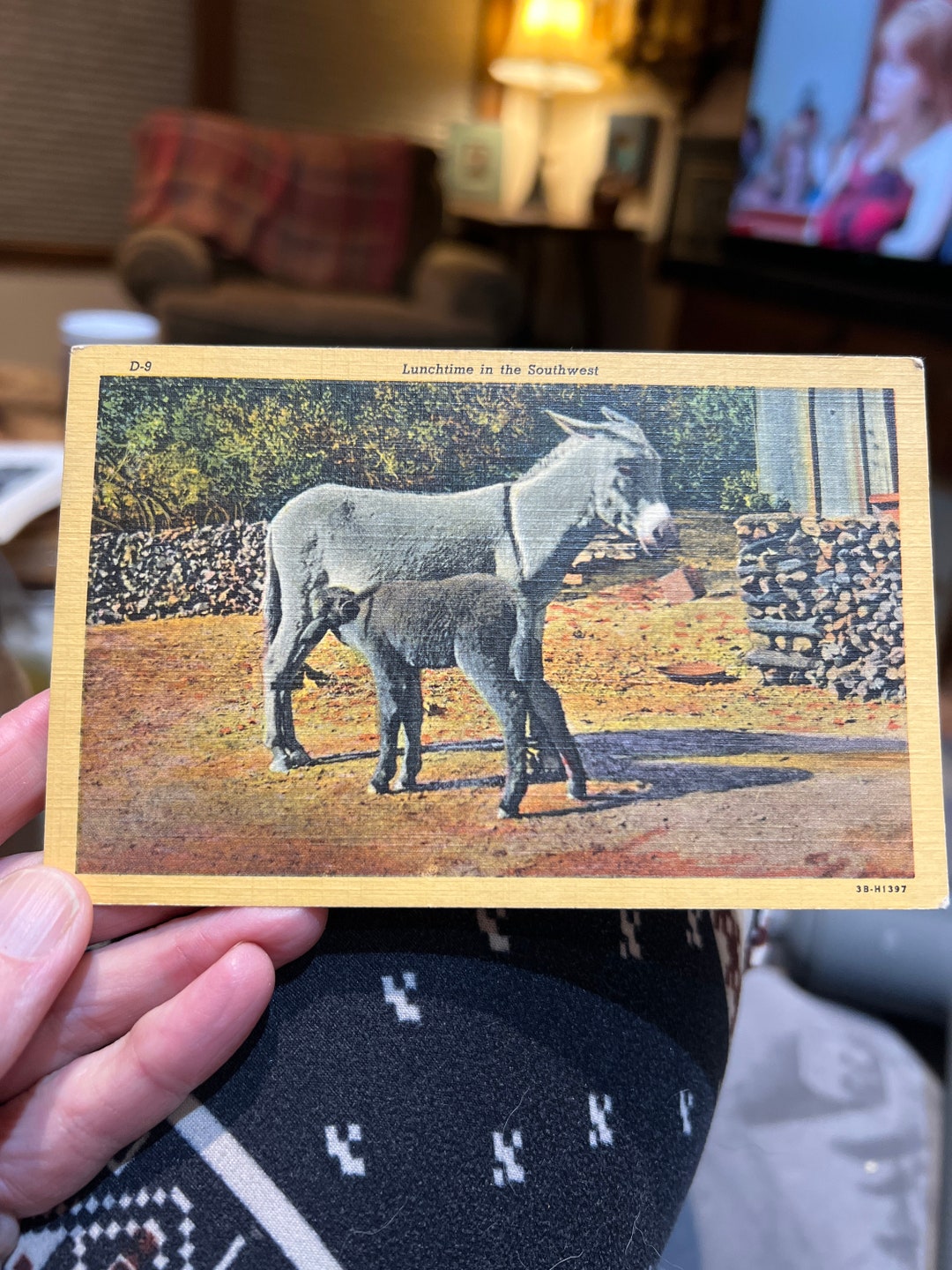 Darling Antique Linen Donkey Foal Postcard - Etsy