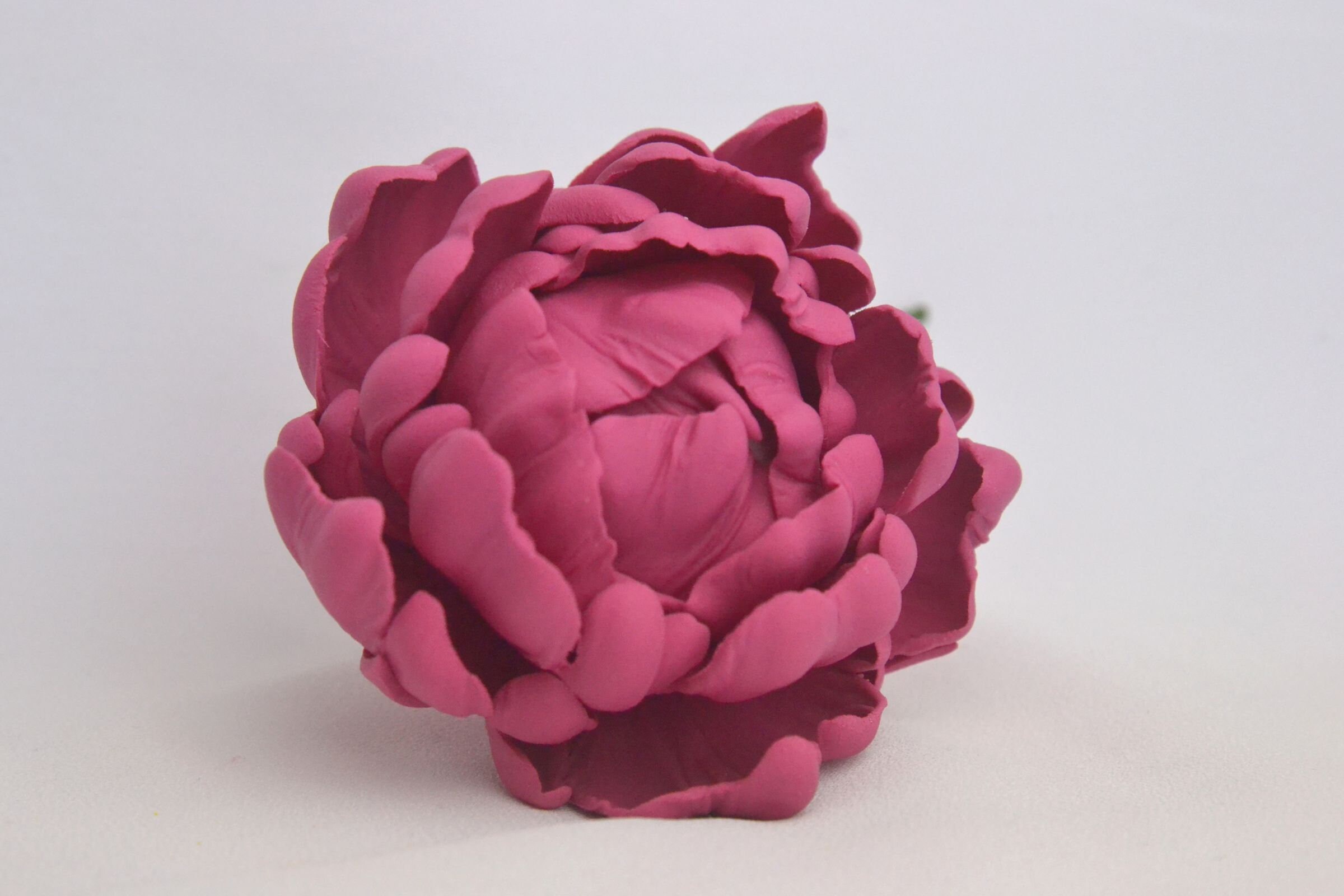 Close Small Peony Flower Size Approx 3 Hot Pink - Etsy UK