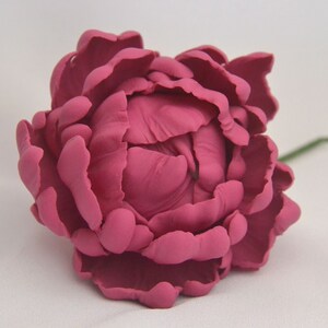 Close Small Peony Flower Size Approx 3 Hot Pink - Etsy UK