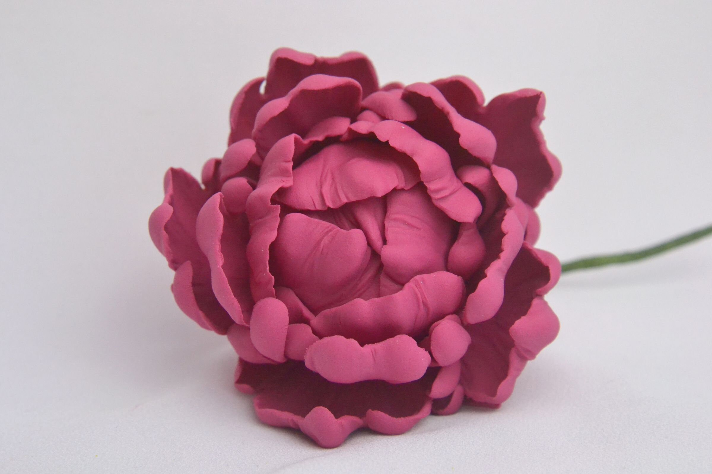 Close Small Peony Flower Size Approx 3 Hot Pink - Etsy UK