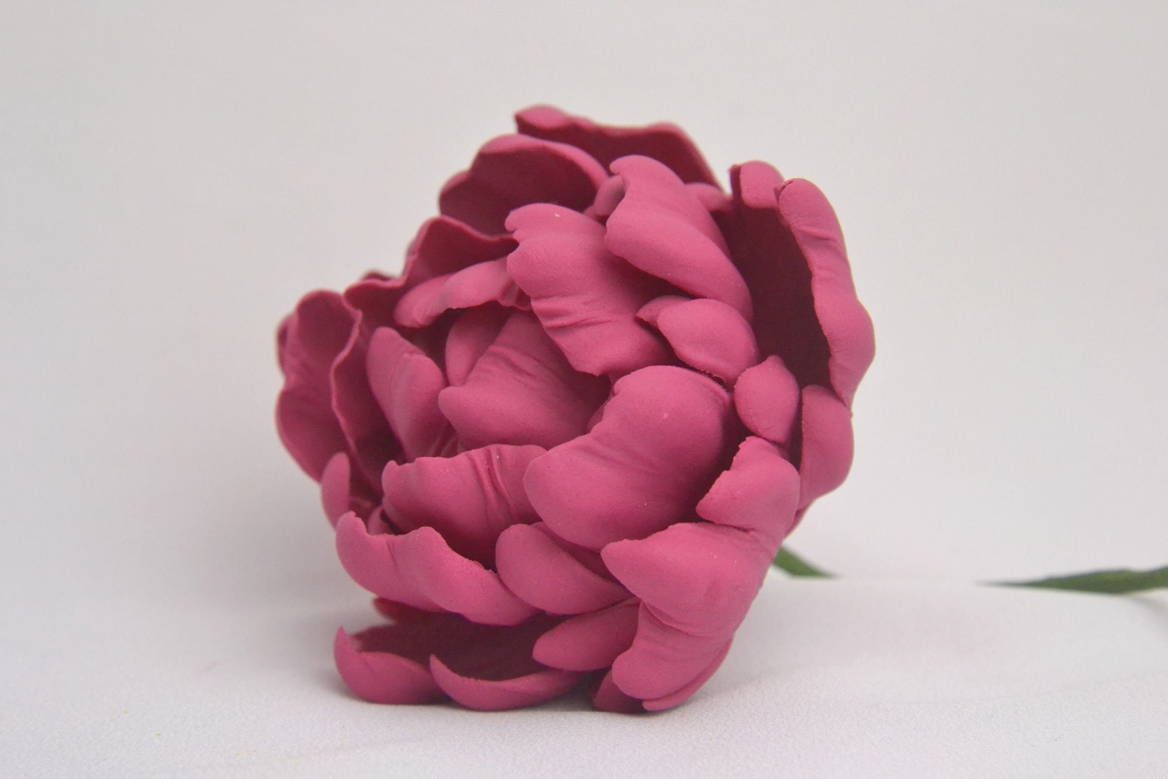 Close Small Peony Flower Size Approx 3 Hot Pink - Etsy UK