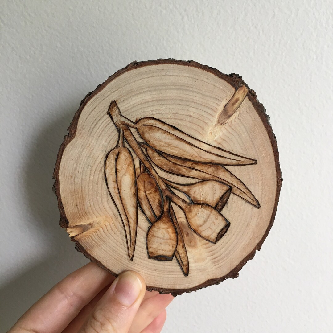 Australian Gumnuts Pyrography Wood Burn Art Nature Wall Art - Etsy