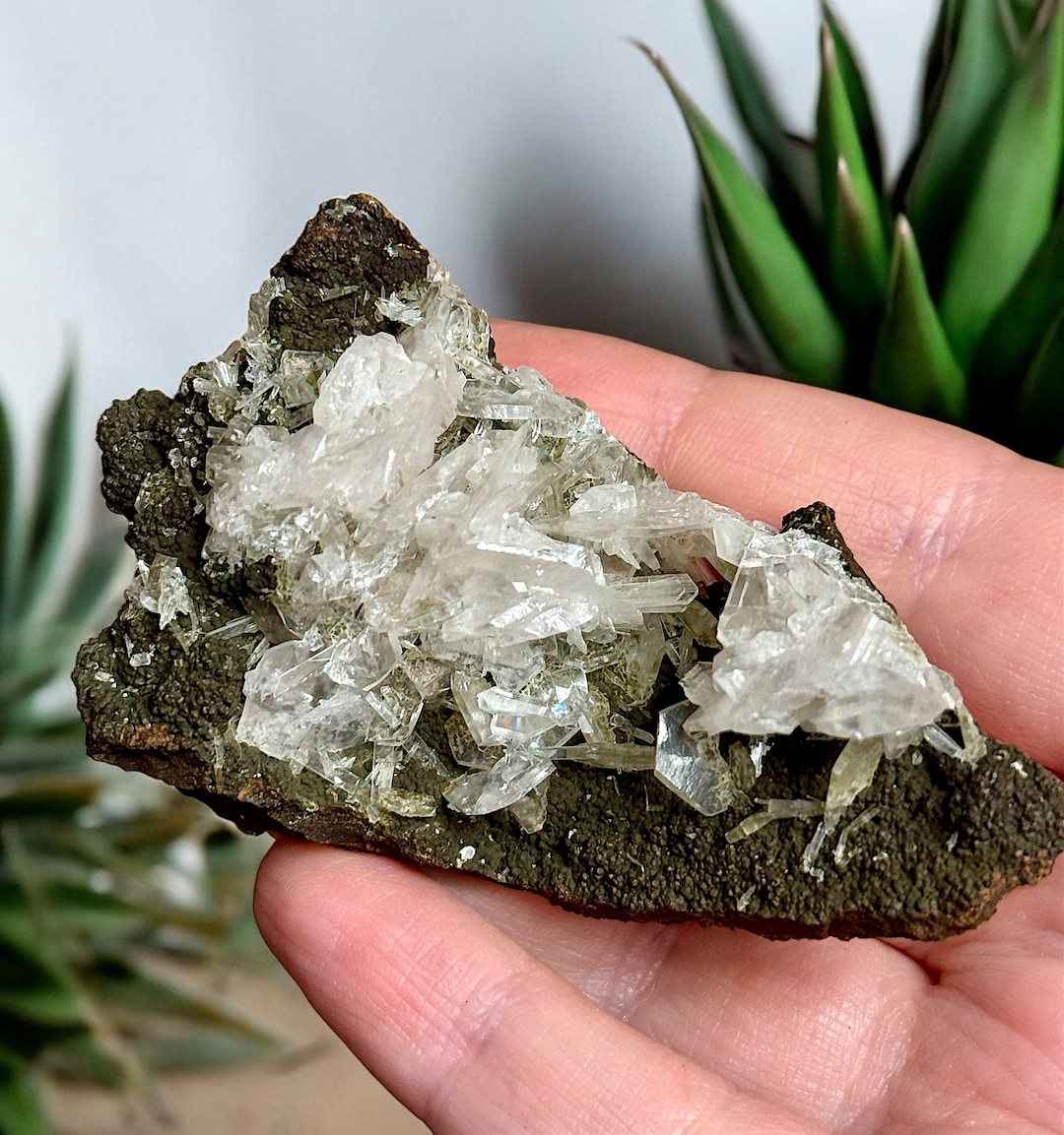 Hexagonal Poker Chip Blade Calcite on Goethite Matrix From Mapimi ...