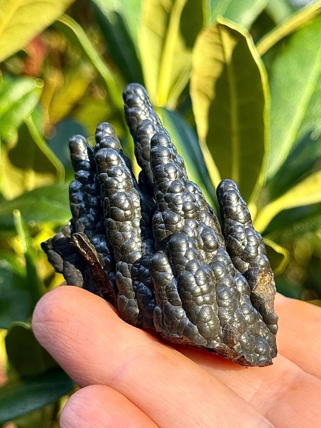 Extremely Rare High Quality Bubbly Botryoidal Hematite Stalactite From ...