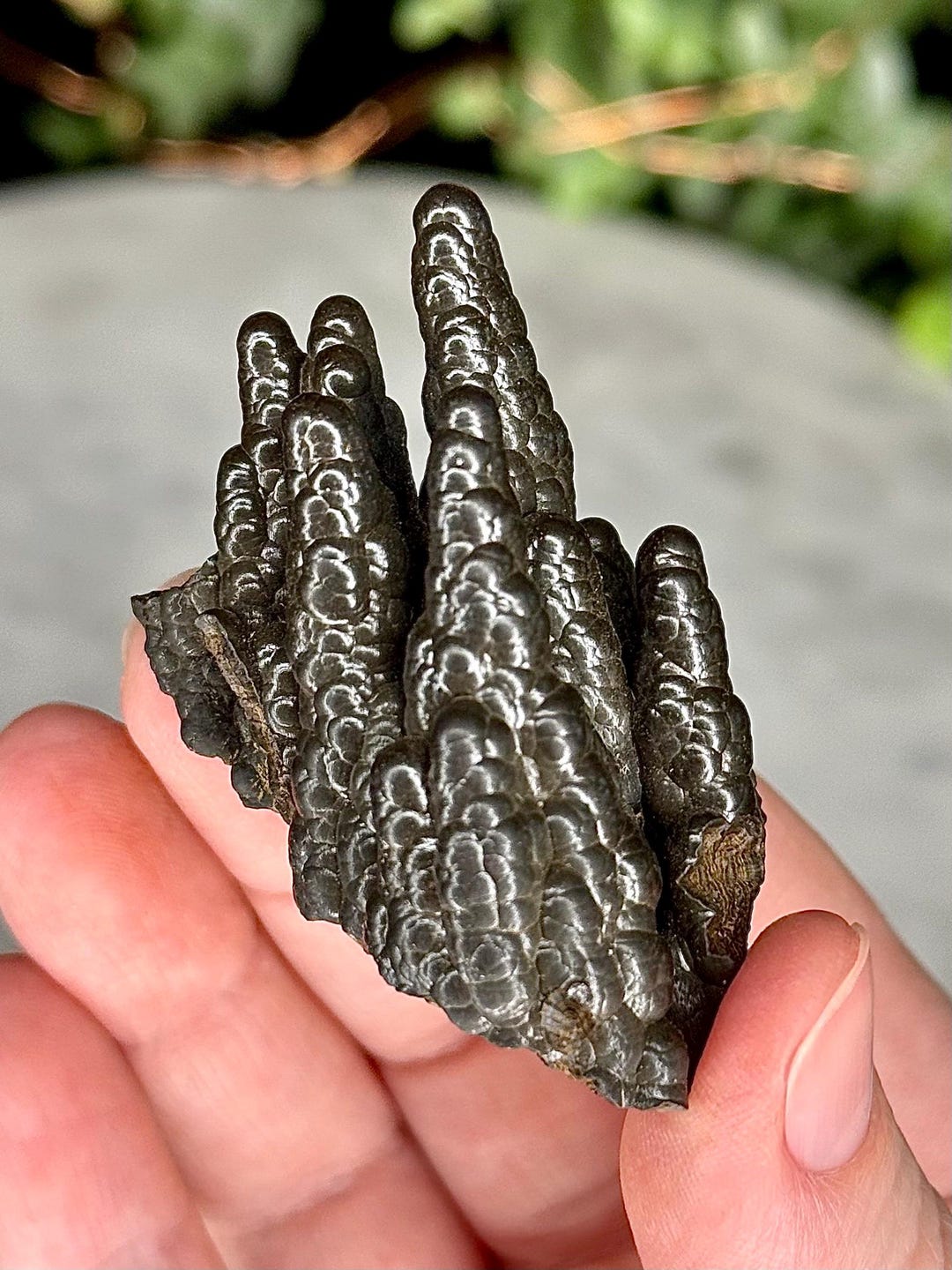 Extremely RARE High Quality Bubbly Botryoidal Hematite Stalactite From ...