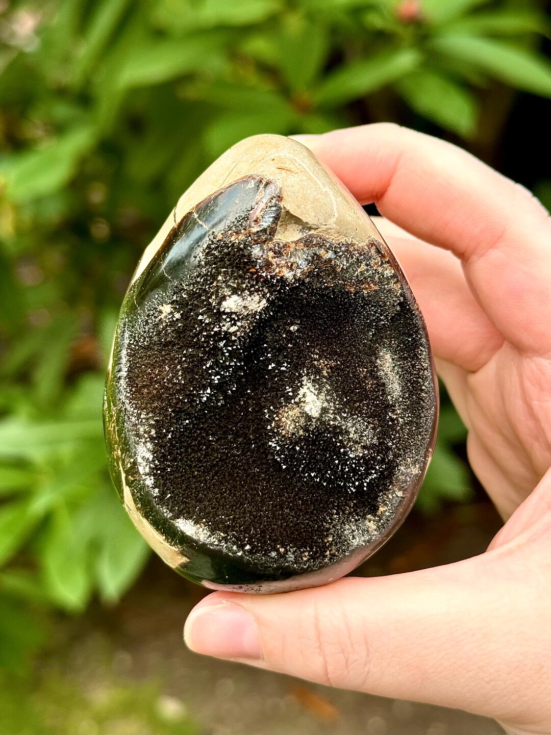 UV Reactive Septarian Nodule Dragon Egg Geode / Specimen 2 - Etsy