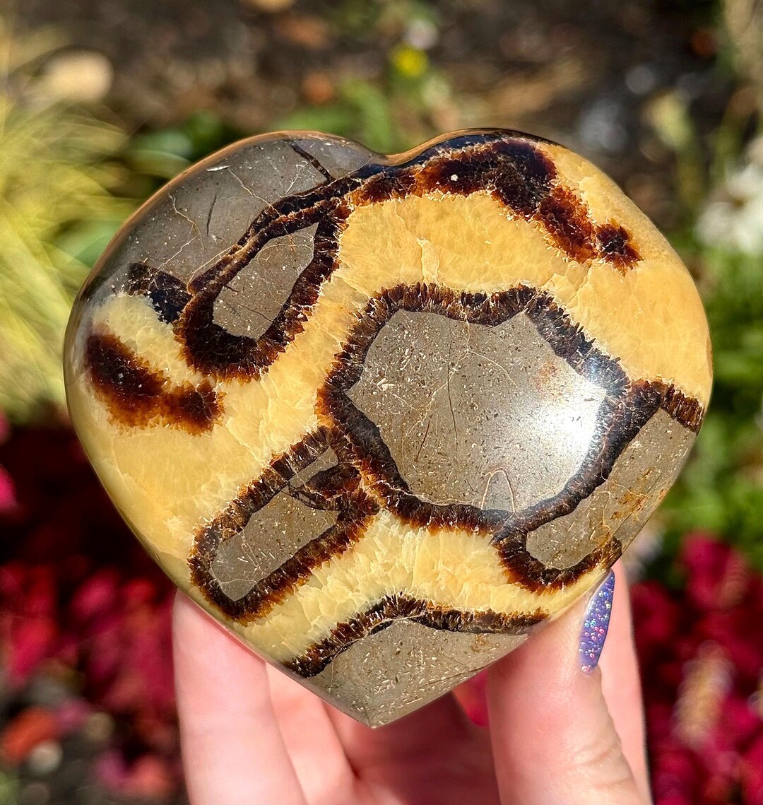 Large Septarian (dragon Stone) Polished Puffy Heart With Druzy Pocket ...