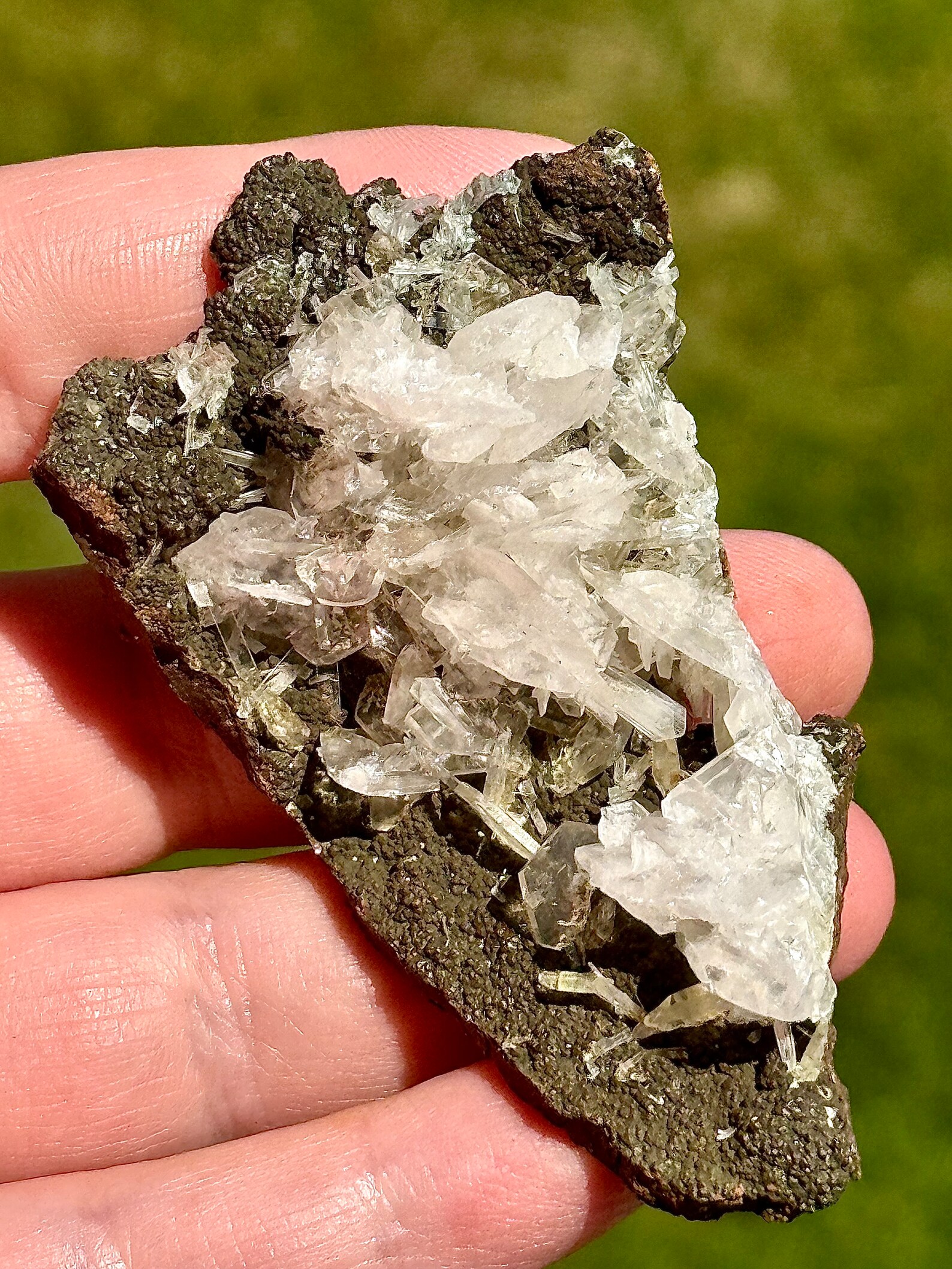 Hexagonal Poker Chip Blade Calcite on Goethite Matrix From Mapimi ...