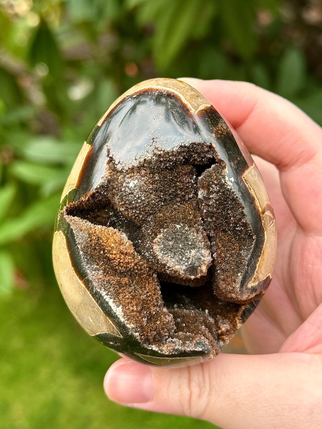 UV Reactive Septarian Nodule Dragon Egg Geode / Specimen #4 - Etsy