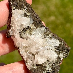 Hexagonal Poker Chip Blade Calcite on Goethite Matrix From Mapimi ...