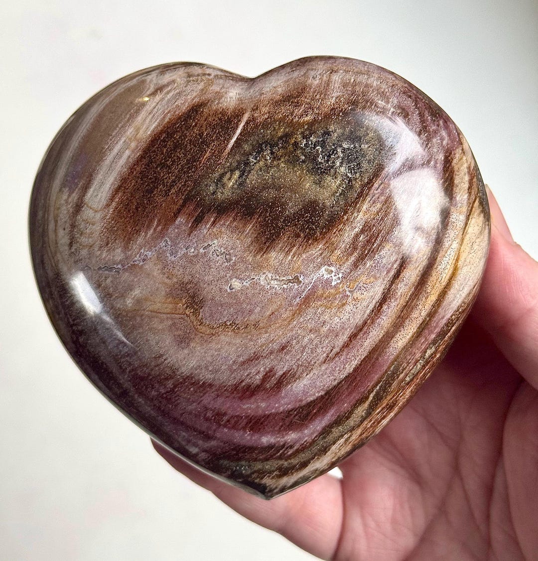 Large Petrified Wood Heart Crystal Carving/ Polished Petrified Wood ...