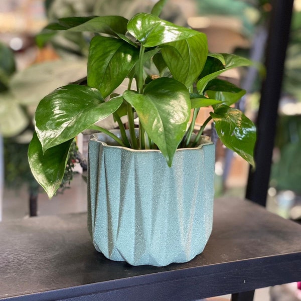 Geometric Plant Pot - Etsy