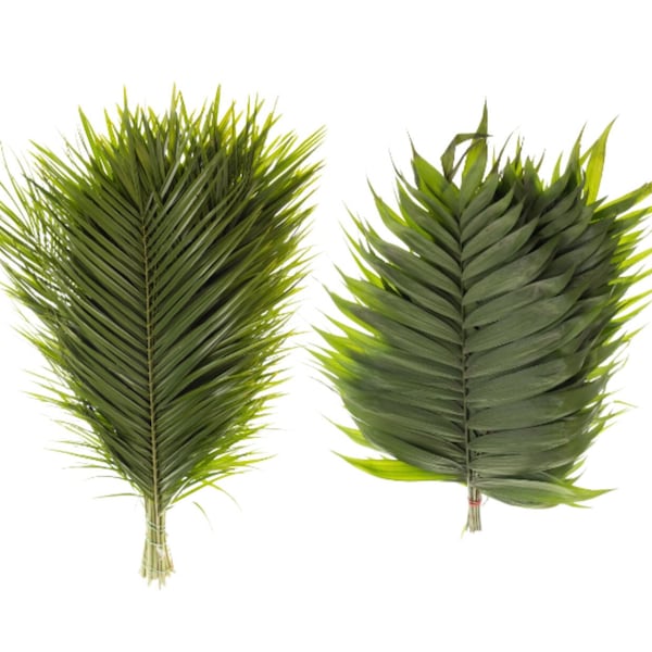 Palm Leaves Decor - Etsy