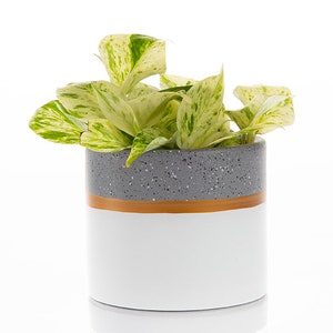 Chrissy Ceramic Pot With Saucer Ceramic Pot CR6360GR OR - Etsy