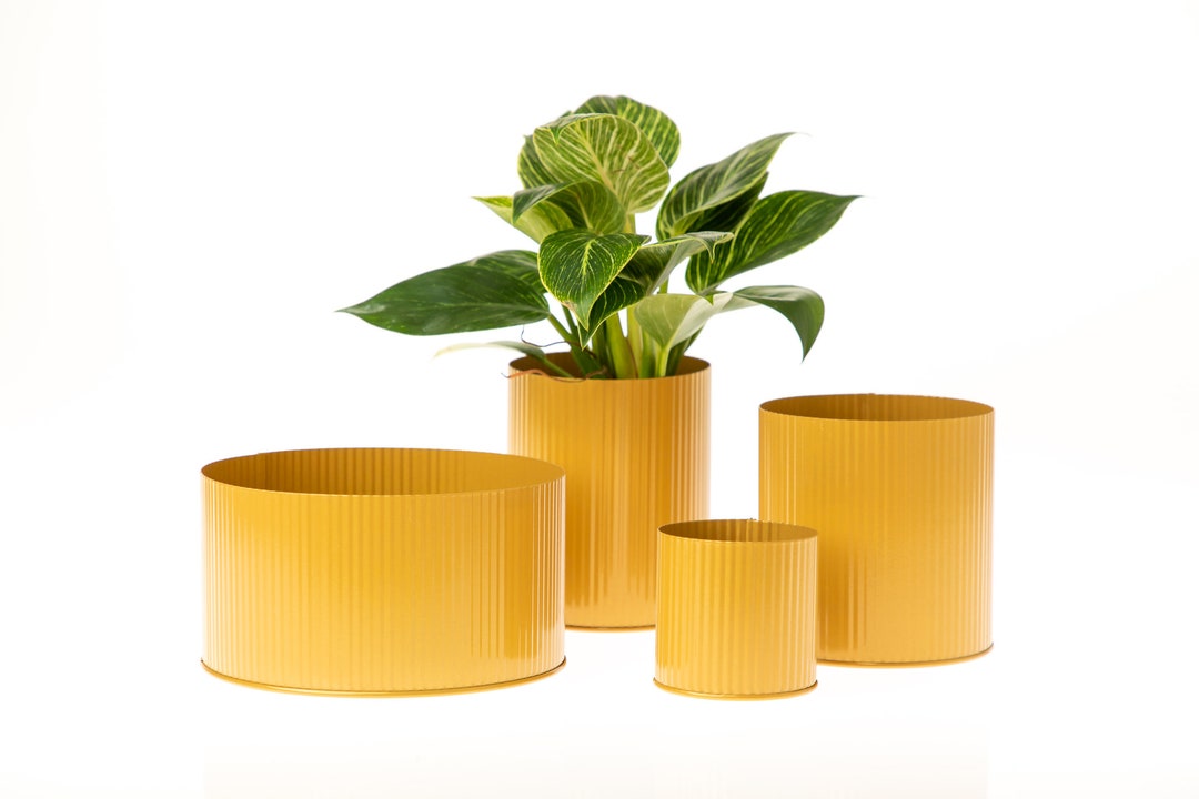 Rustic Tin Vase, Corrugated Sides L Tin Vases for Vintage Wedding Decor ...