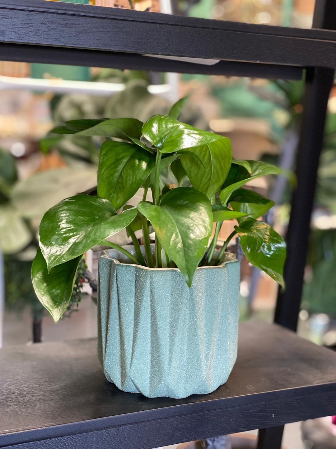 Geometric Ceramic Pot for Plant 5x5 OR 5.75x5.75 - Etsy