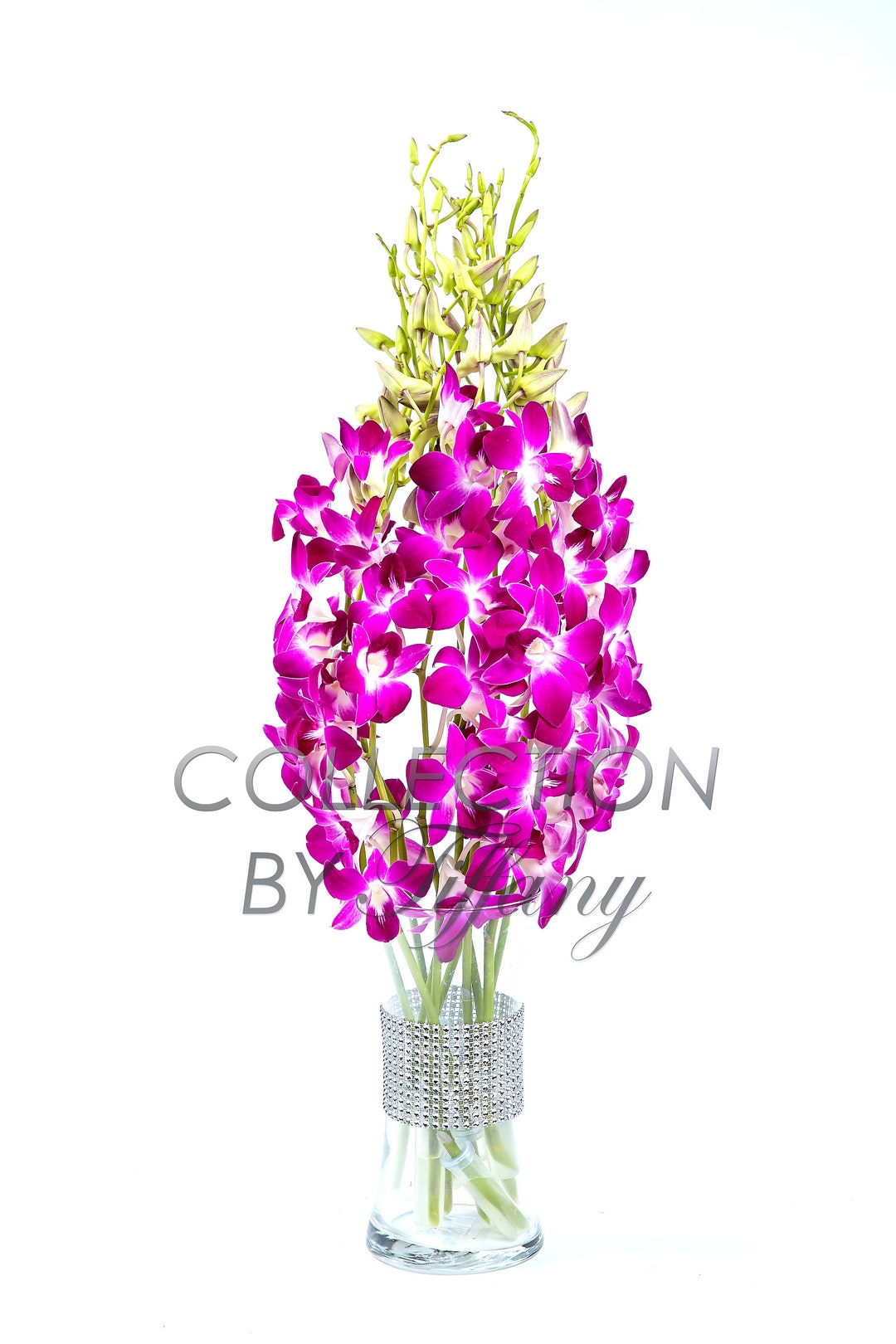 Fresh Dendrobium Cut White With Vase Diamond Mesh Bling Bling (10 Stems ...