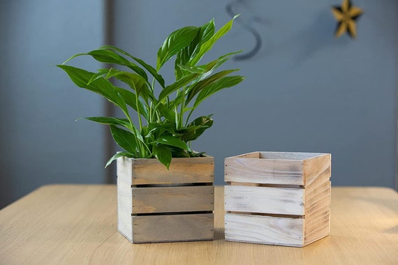 6 Inch Square Wood Planter Box W Plastic Liner wine Crate Styled Etsy UK