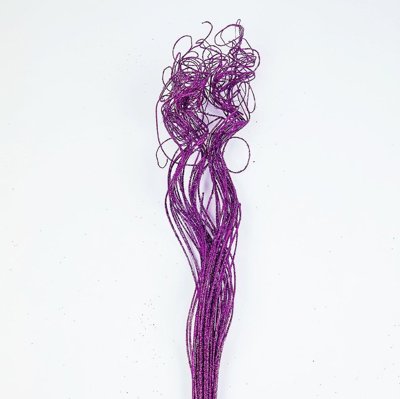 Sparkly Glittered Ting Ting Branches - Curly Floral Decor (24-28 Inch ...