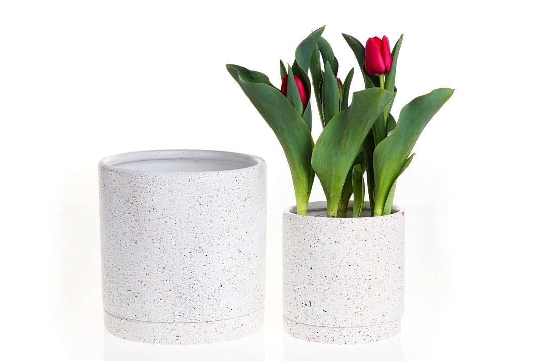 Sand Texture Pot With Saucer | Ceramic Planter / Pot (5.5" X 5.5" or 8 ...
