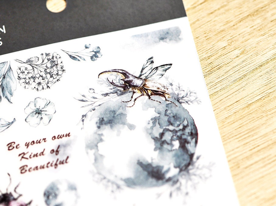 MU Print on Stickers Moon Insects 125 - Etsy
