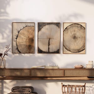 Tree Ring Art Print Set: Rustic Wood, Modern Abstract (set of 3) - Etsy