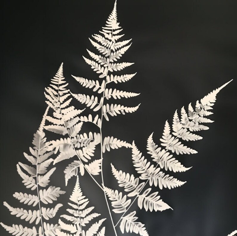 Modern Fern Artwork, Farmhouse Decor, Botanical Wall Art, Fern Leaf ...
