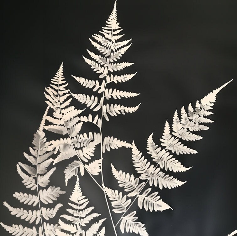 Modern Fern Artwork, Farmhouse Decor, Botanical Wall Art, Fern Leaf ...