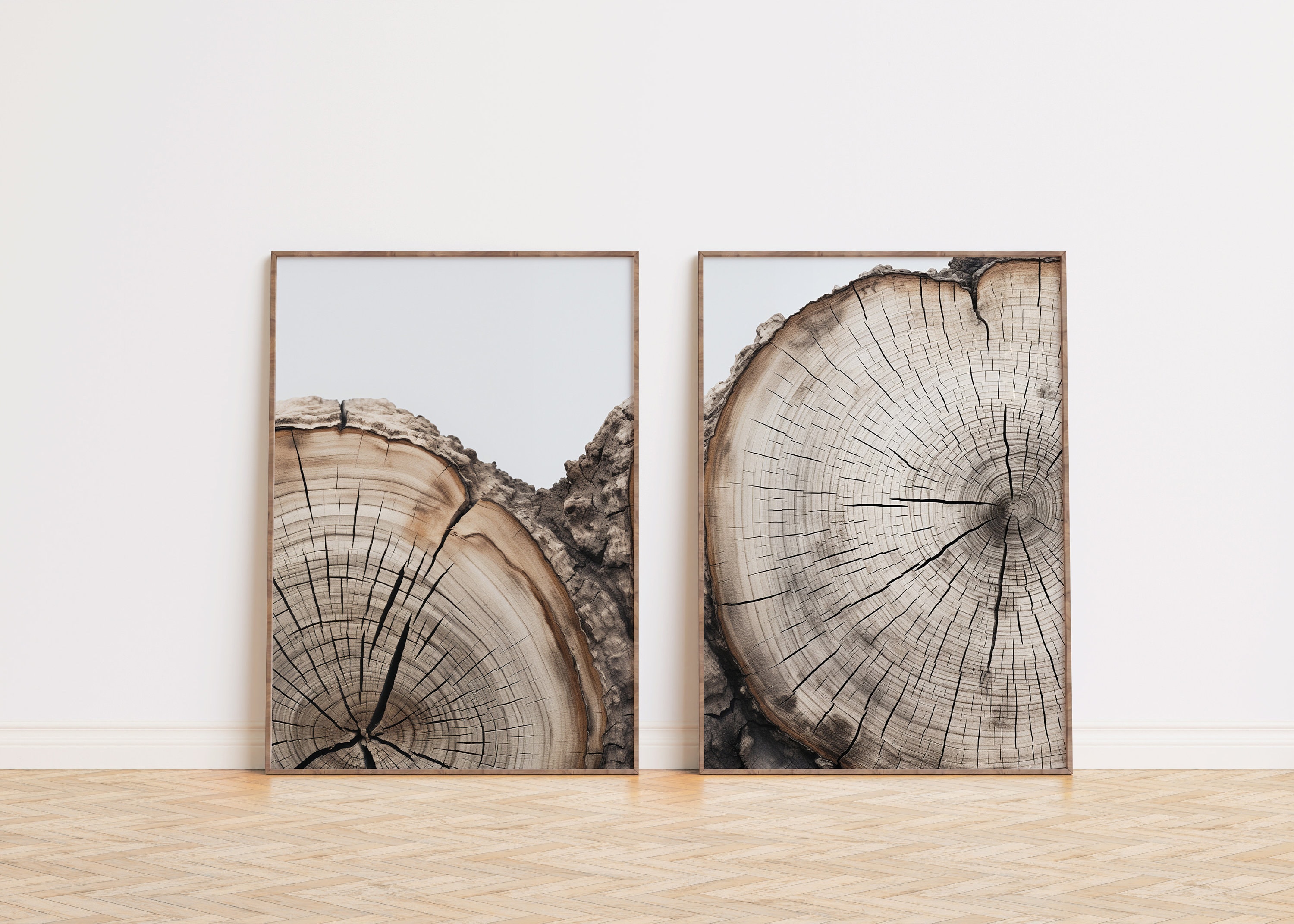 Tree Ring Artwork, 2/2, Abstract Vintage Wood Prints, Neutral Abstract ...