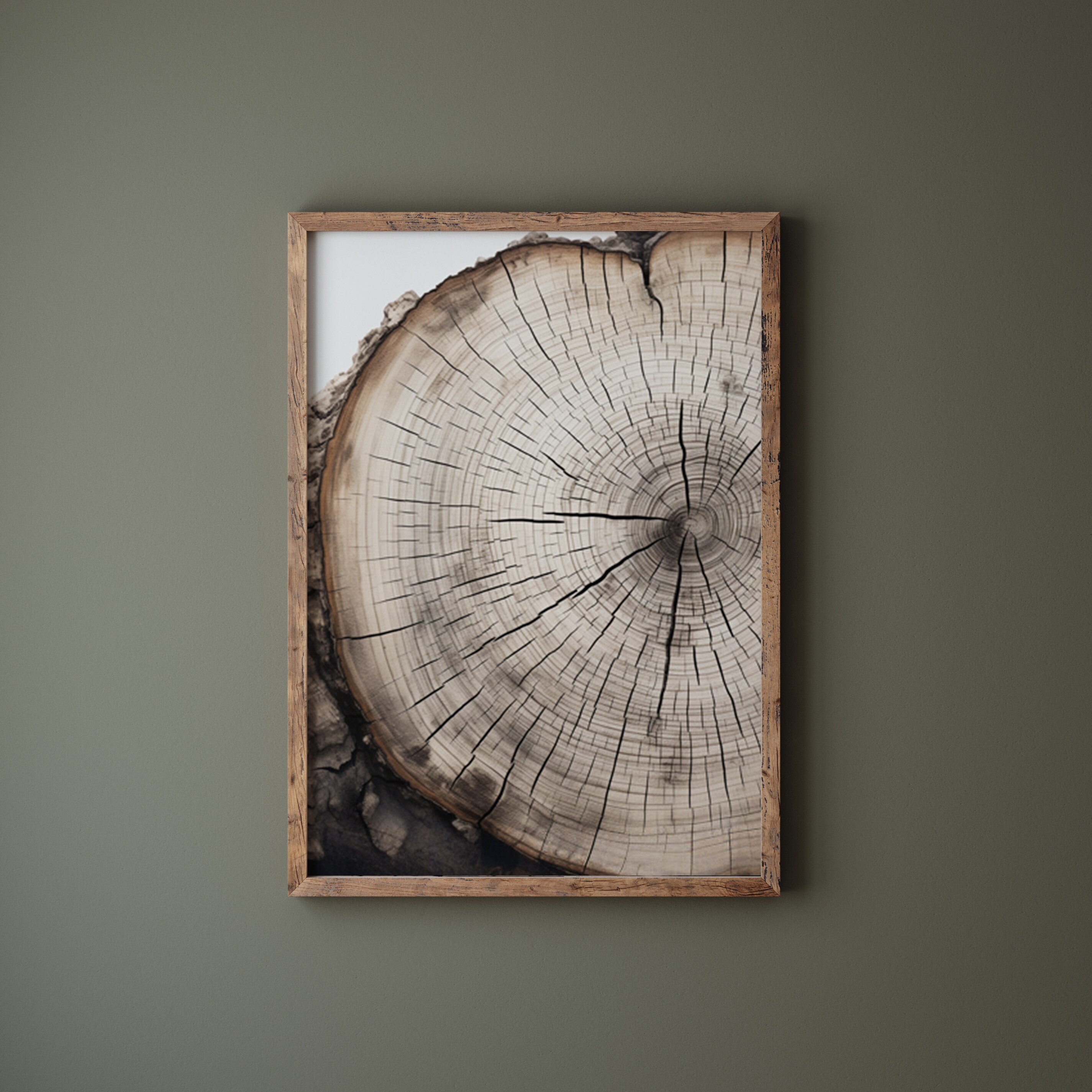 Tree Ring Artwork, 2/2, Abstract Vintage Wood Prints, Neutral Abstract ...