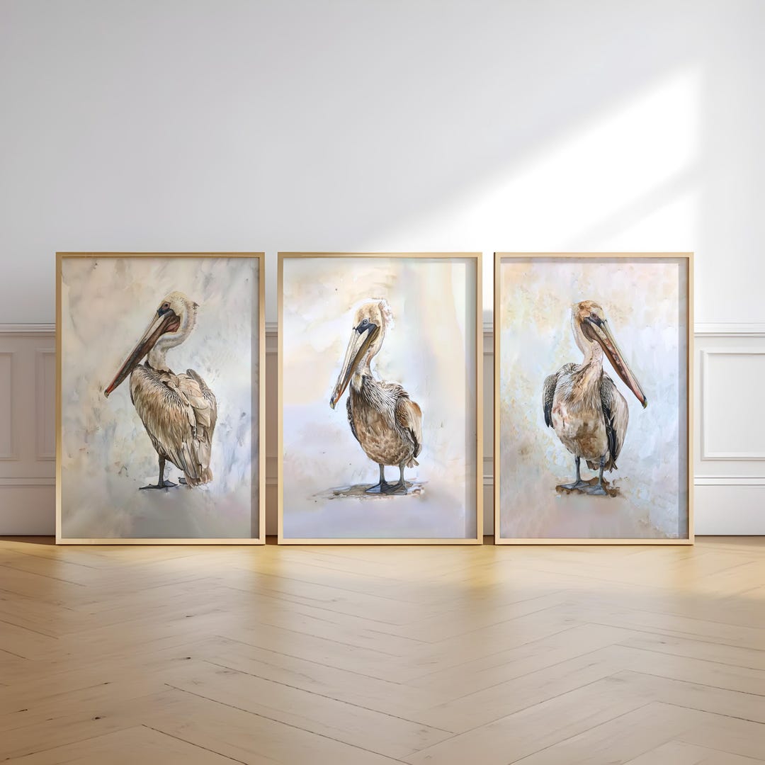 Watercolor Pelican Print Set: Minimalist Coastal Art (set of 3) - Etsy