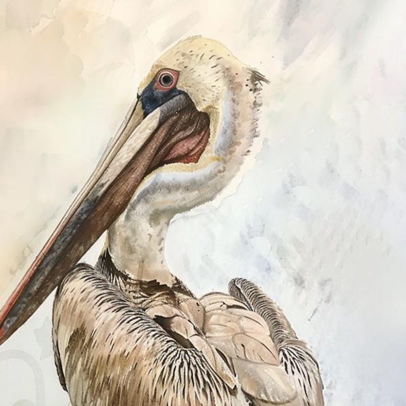 Watercolor Pelican Print Set: Minimalist Coastal Art (set of 3) - Etsy