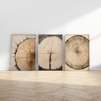 Tree Ring Wall Art - Etsy