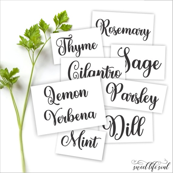 Herb Labels Potted Plant Decals Custom Vinyl Sticker Plants | Etsy