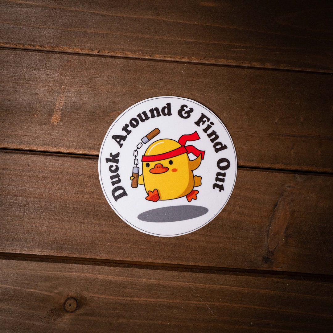 Duck Around and Find Out Sticker, Funny Sticker Ducky, Karate Kid ...