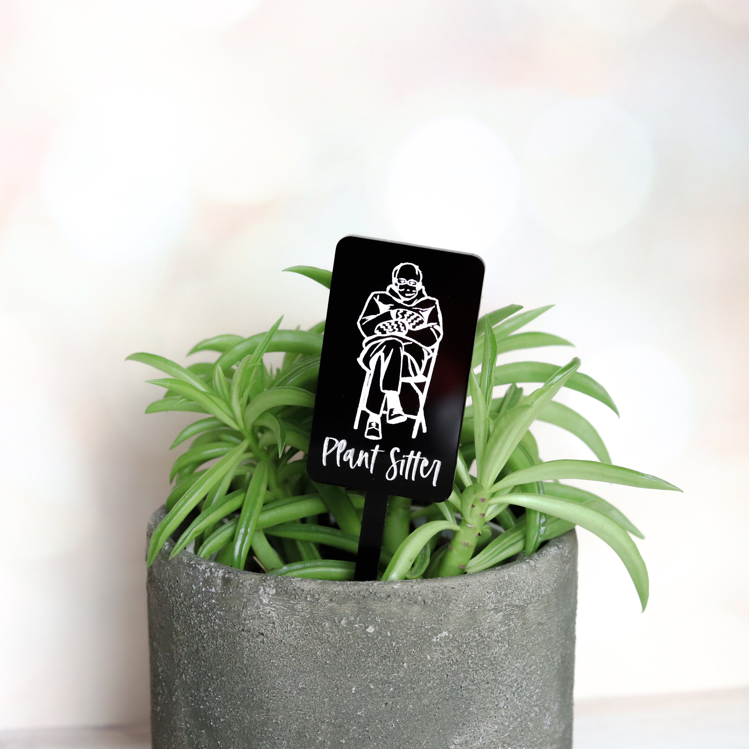 Bernie Plant Marker Plant Sitter Bernie Sanders Signes végétaux Pieu de ...