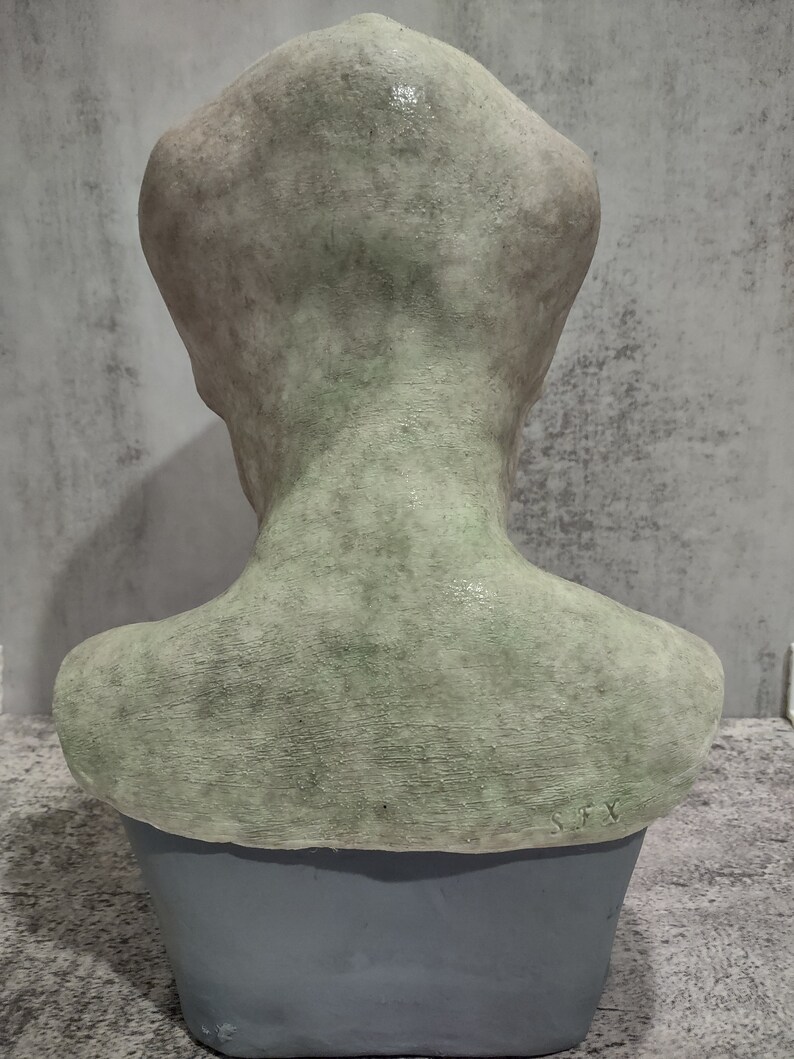 Vo'k the Alien Silicone Mask by Shattered FX - Etsy