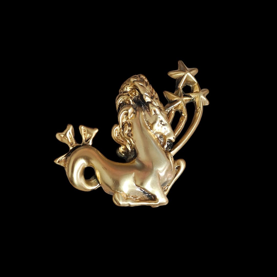 Rare Tortolani Sagittarius Brooch - Etsy