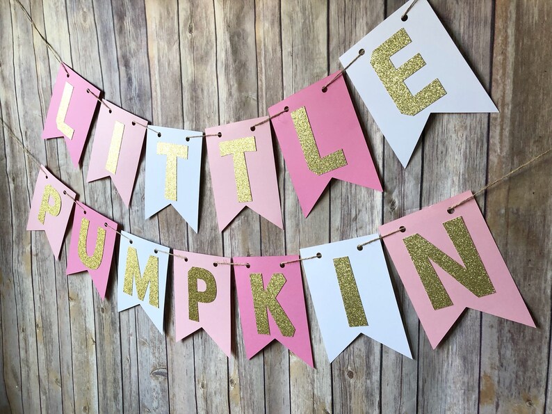 Little Pumpkin Banner Birthday Banner First Birthday Baby | Etsy