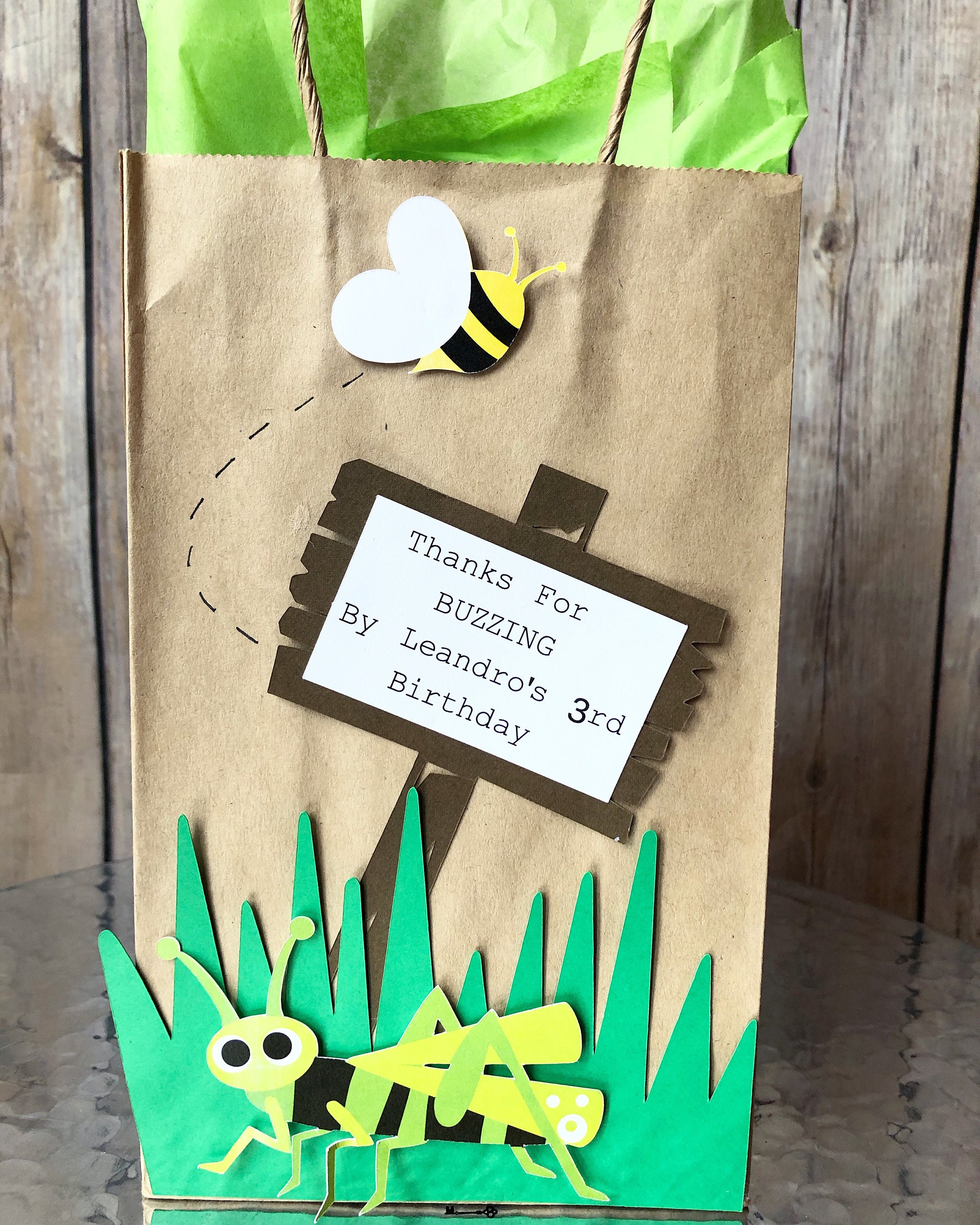 Bug Birthday Party Favor Bags Goody Bags Insect Party - Etsy
