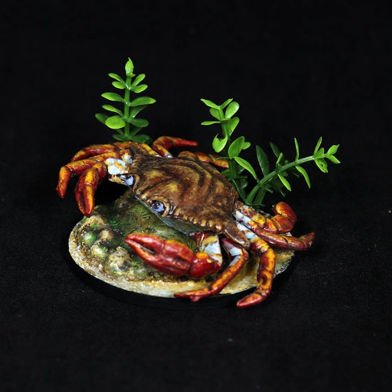 DnD Miniature Giant Crab Deep Creature Aquatic figurine | Etsy