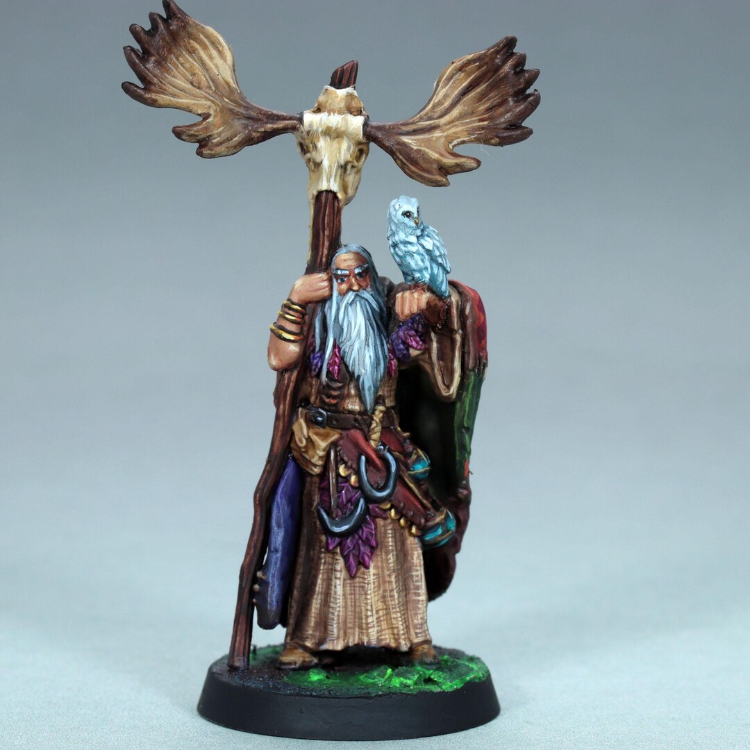 Painted Druid Miniature, Painted Dnd Wizard Miniature, Painted Sorcerer ...