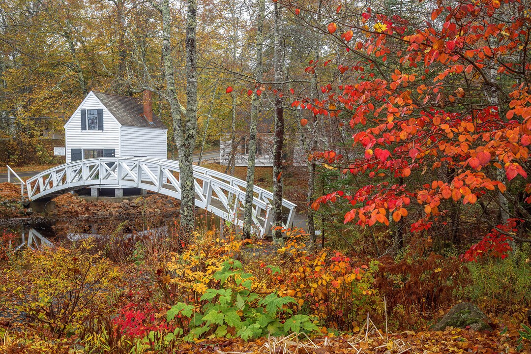Acadia Bridge Print-canvas, Metal, or Fine Art Photo Paper-original ...