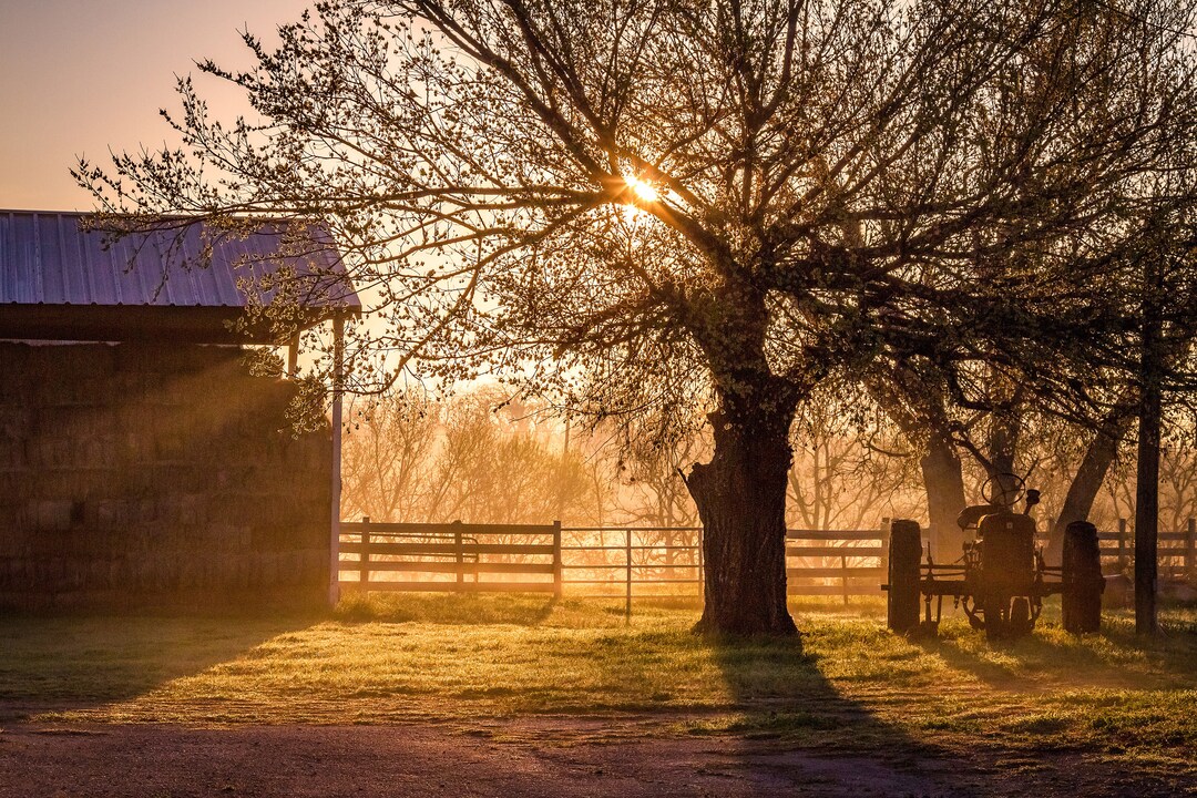 Texas Ranch PRINT - Antique Tractor & Barn - Original Photograph ...