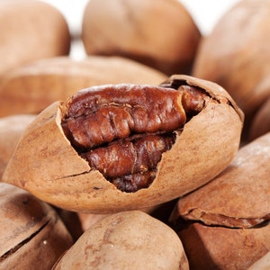 Hardy Pecan 2-pack, Carya Illinoinensis, Hardy Tree, Edible Nuts ...