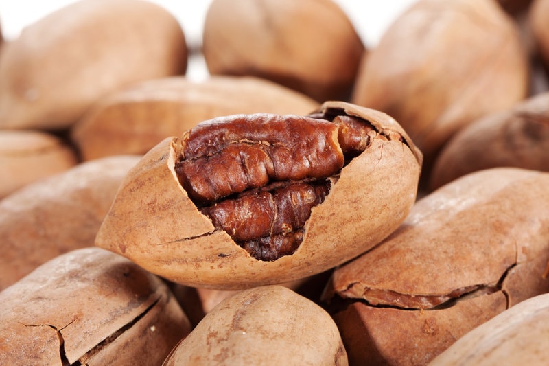 Hardy Pecan 2-pack, Carya Illinoinensis, Hardy Tree, Edible Nuts ...