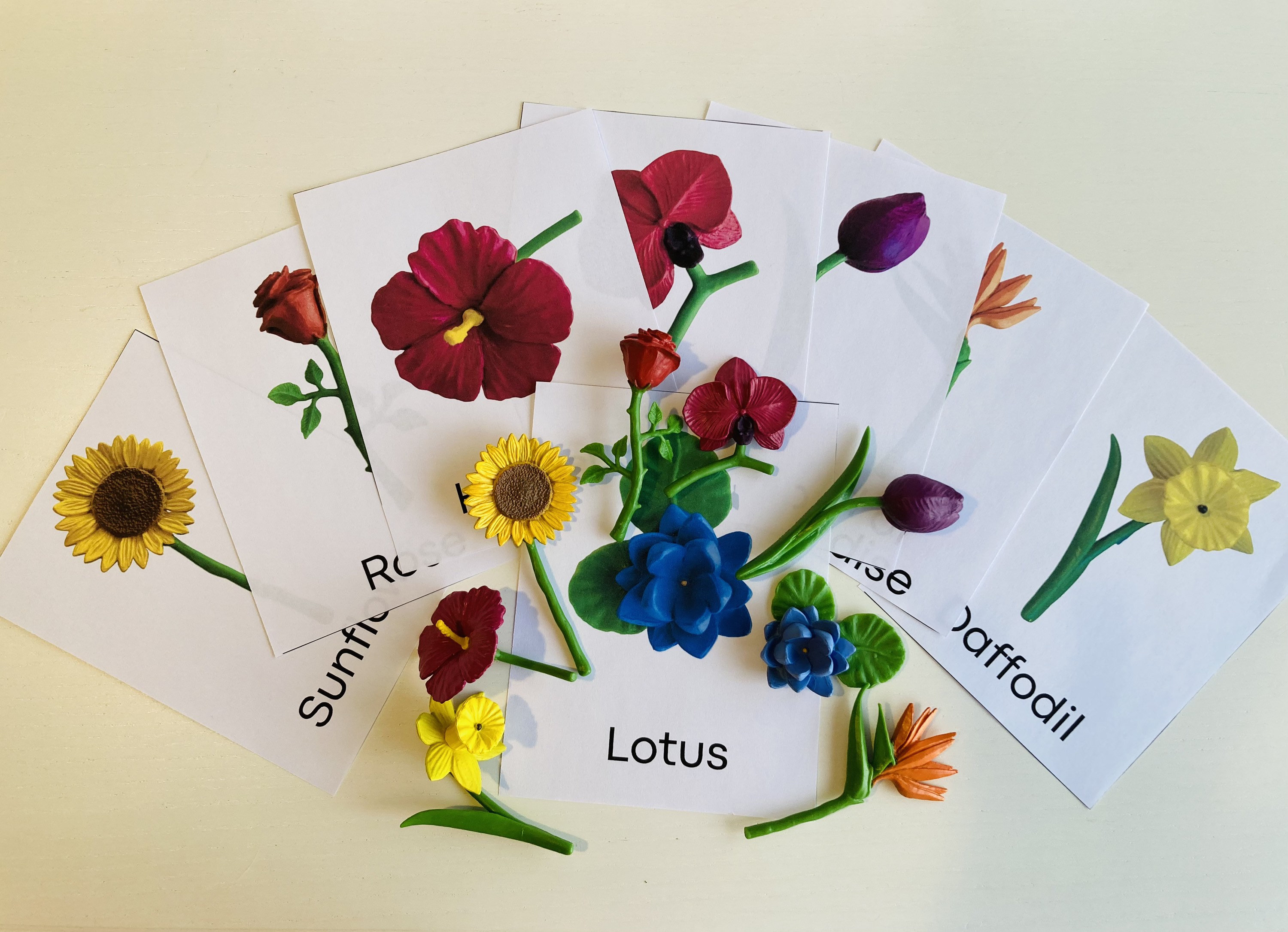 Montessori Printable Figure Matching Flash Cards Safari Toob Flowers - Etsy